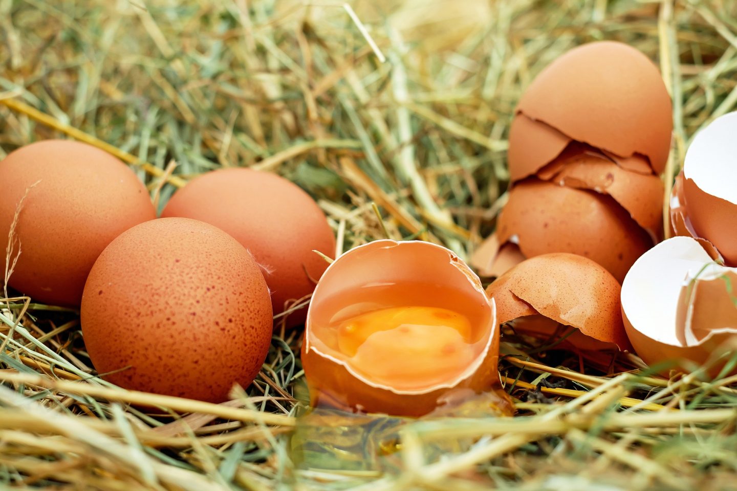 5 Best Natural Sources of Protein | Pinoy Fitness