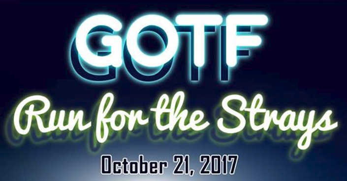 GOTF (Guardians of the Fur) Run for the Strays 2017 in Blue Bay Walk ...