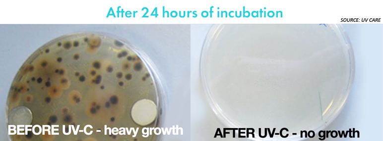 Time to UV Care your Running Shoes | Pinoy Fitness