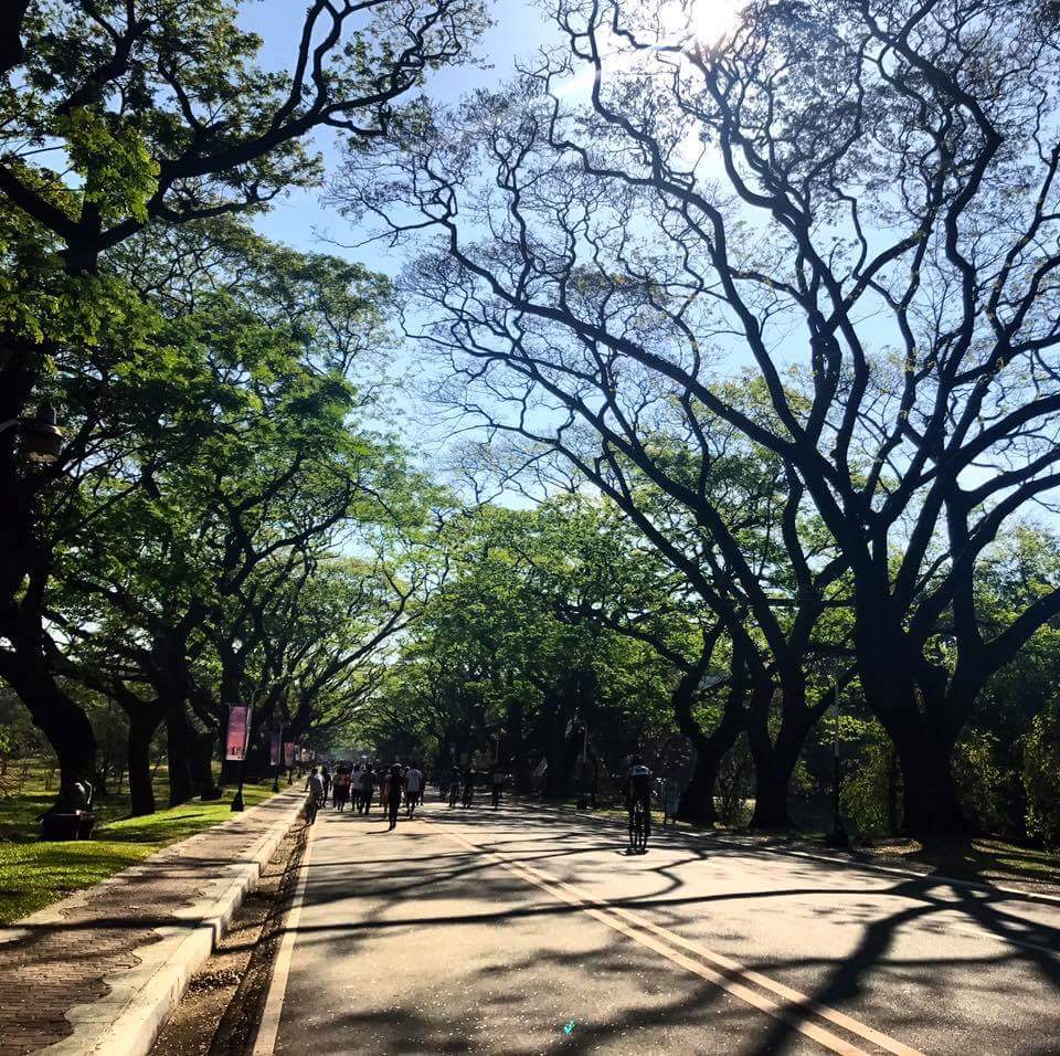 UP Diliman Improves Academic Oval Safety for Runners and Bikers | Pinoy ...