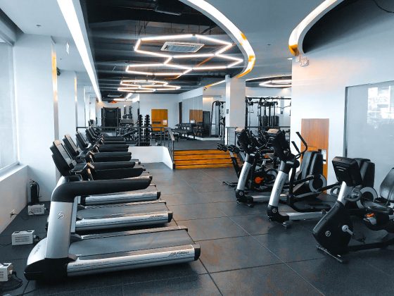 Platinum Fitness: the 24/7, Affordable Rates, Luxurious Experience ...