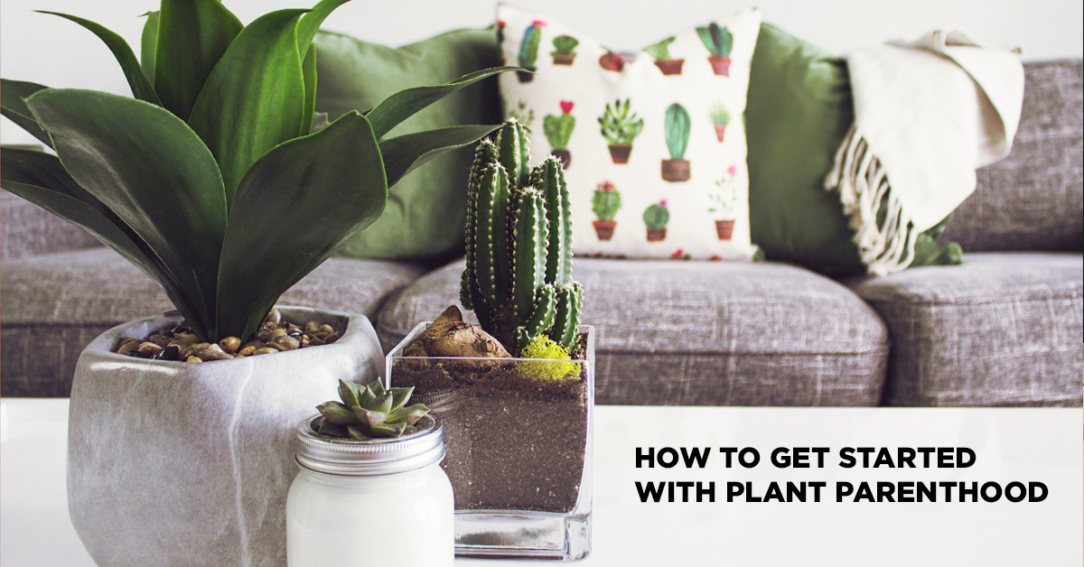 How to get started with Plant Parenthood | Pinoy Fitness