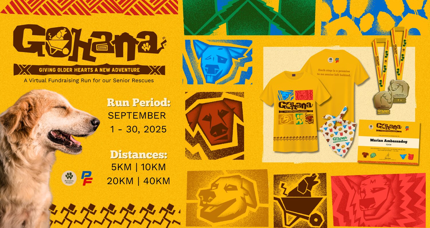 Pawssion Project : GOHANA Virtual Run | Pinoy Fitness